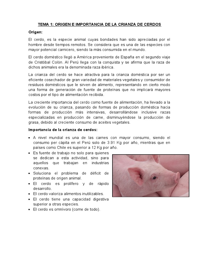 Tema 1 - Origen e Importancia de La Crianza de Cerdos | PDF