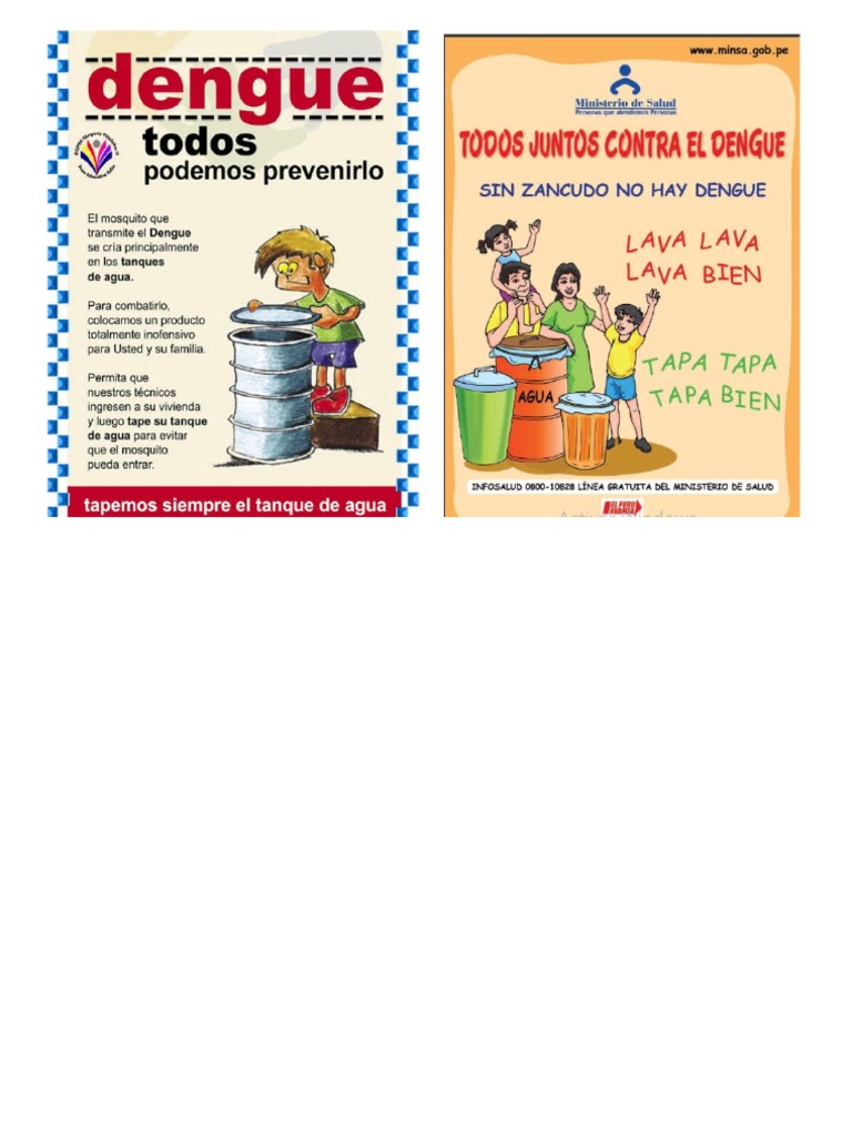 Afiche Sobre El Dengue | PDF