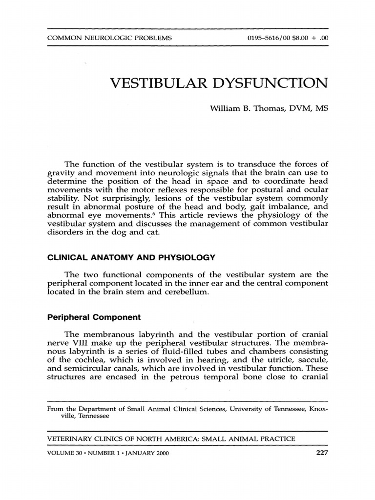 Vestibular Dysfunction | PDF | Vestibular System | Cerebellum