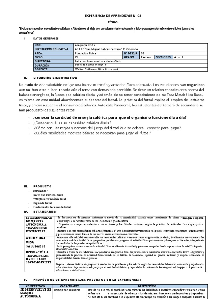 Experiencia De Aprendizaje 03 Pdf Aprendizaje Evaluación