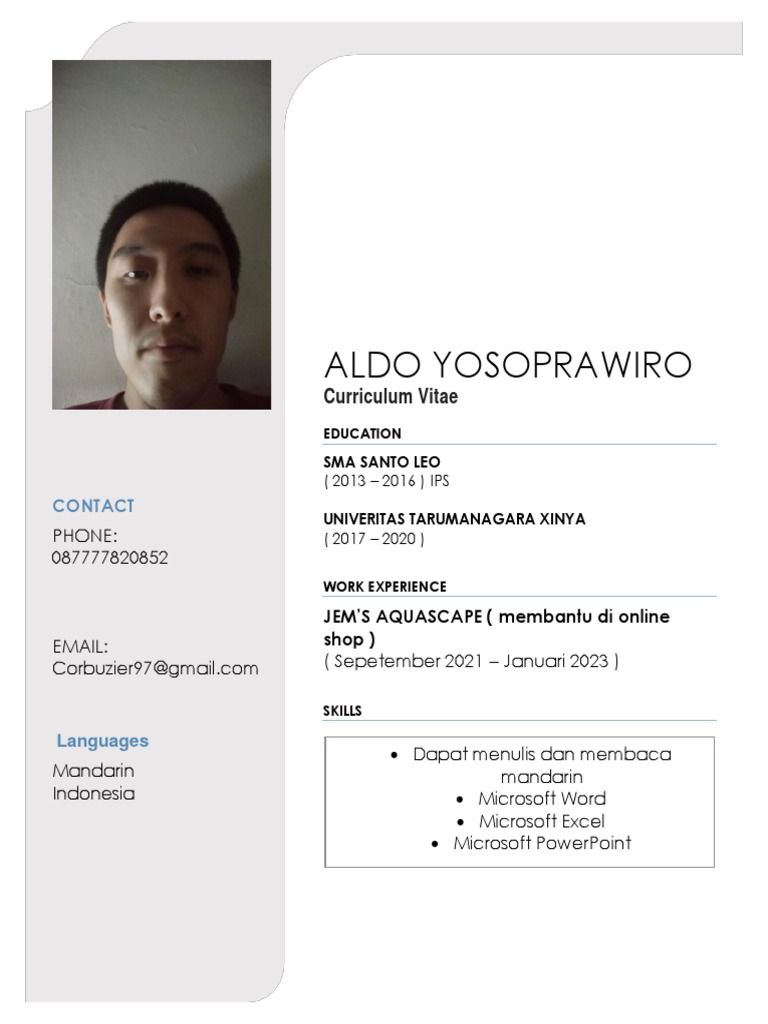 CV Aldo | PDF