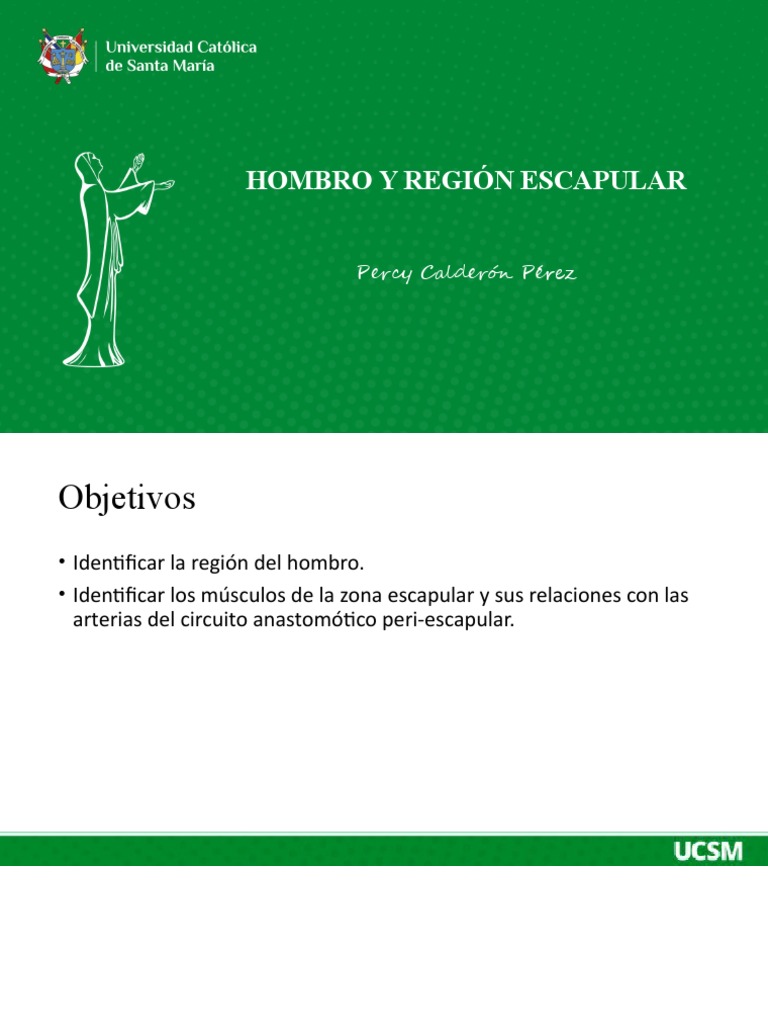 Hombro y Región Escapular | PDF | Tejido suave | Sistema musculoesquelético