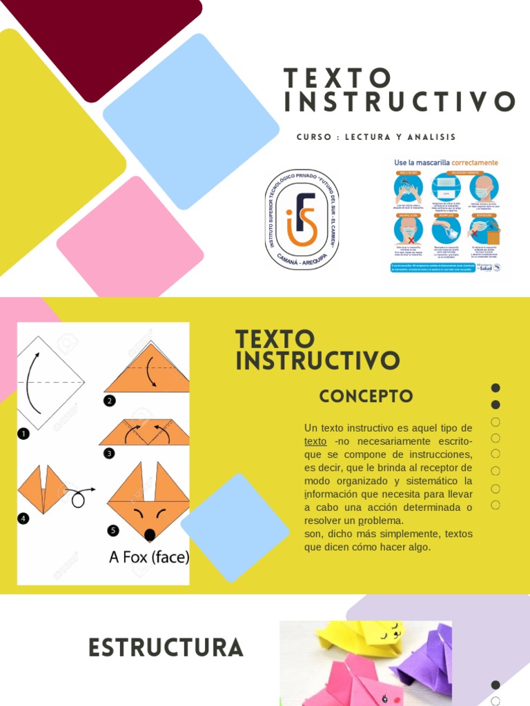 Lectura y Analis Textos Instructivo | PDF