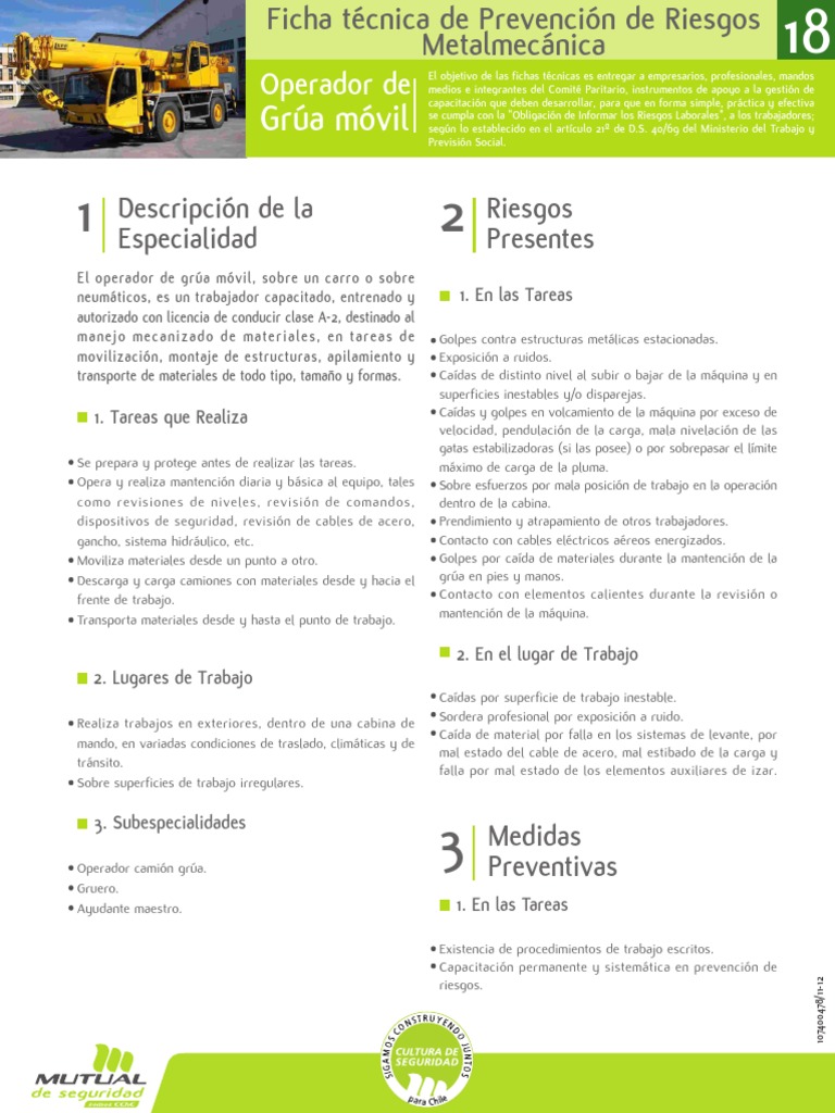 Operador Grua Movil MUTUAL | PDF | Grúa (máquina)