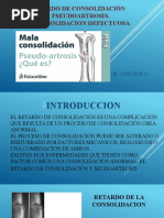 Visi Disi | PDF | Mano | Sistema musculoesquelético