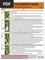 NJUG Publication Volume 1 | PDF | Root | Trees