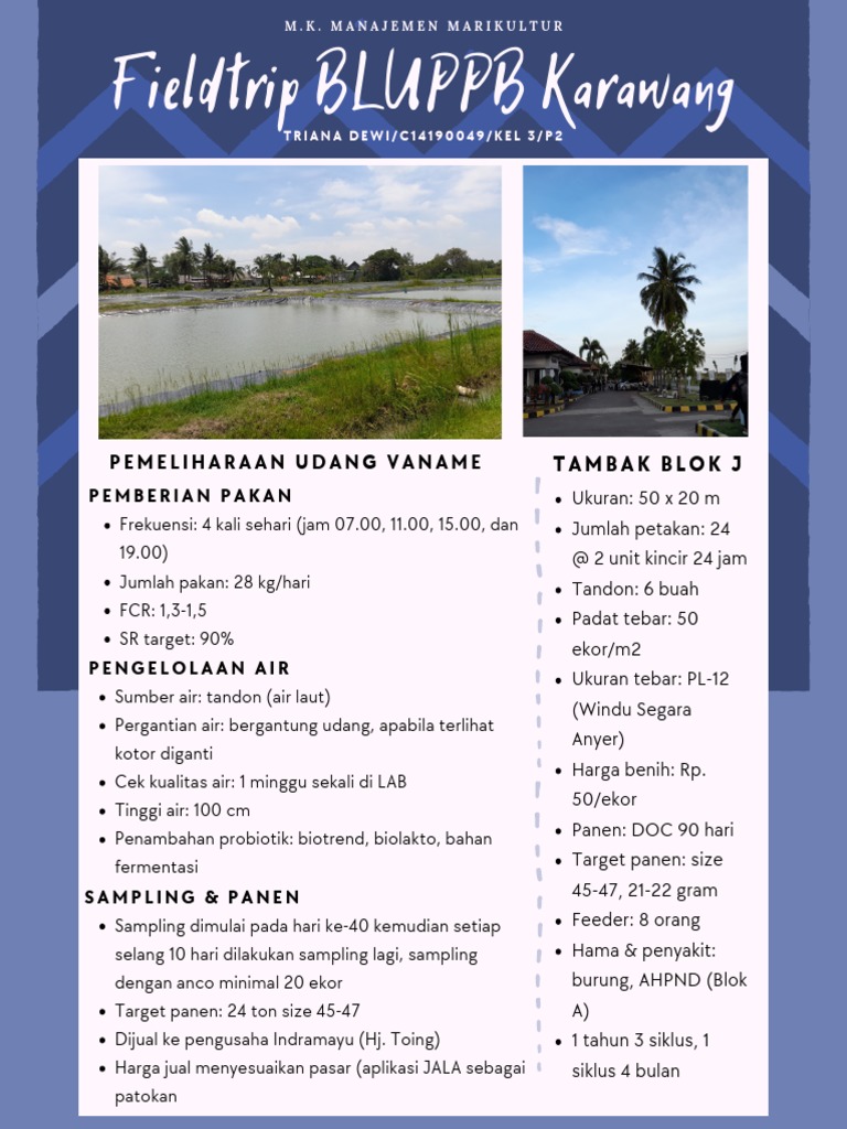Fieldtrip BLUPPB Karawang | PDF