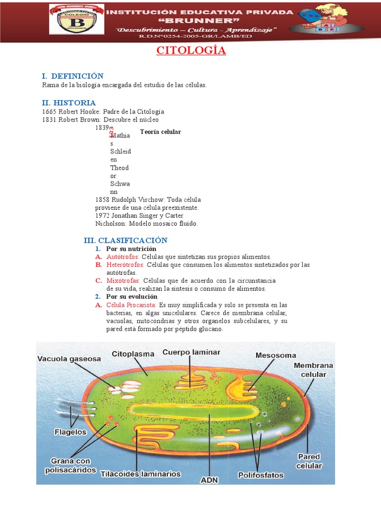 Introducción a la Citología Celular | PDF | Biología Celular) | Cáncer