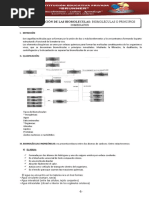 Guía para El Uso Del Sistema Prometeo | PDF | Informática