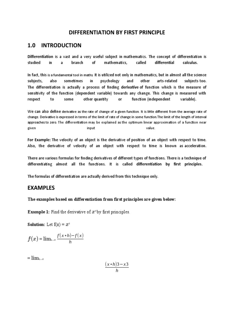 Differentiation by First Principle | PDF | Derivative | Function ...