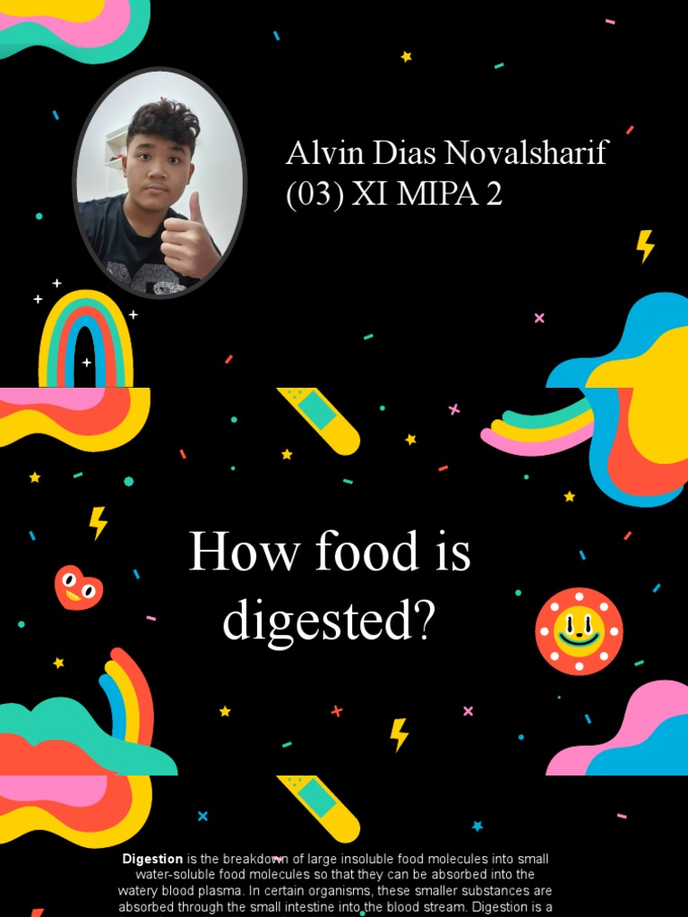 How Food Is Digested (Alvin Dias) | PDF | Digestion | Biology
