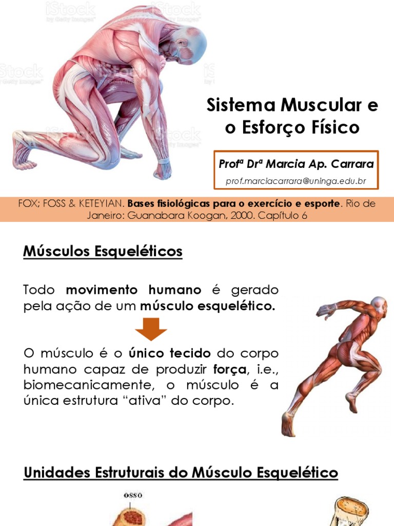 Sistema Muscular e o Esforço Físico | PDF | Músculo esquelético | Anatomia