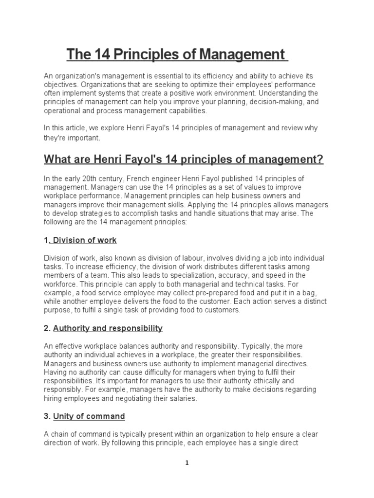 The 14 Principles of Management Assignment | PDF | Employment ...