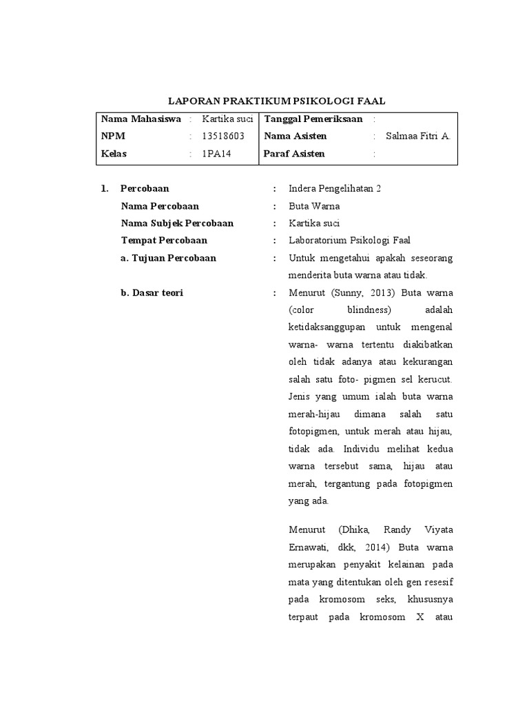 Laporan Faal Penglihatan 2 | PDF