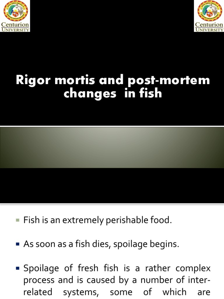 Rigor Mortis and Spoilage in Fish | PDF | Chemistry