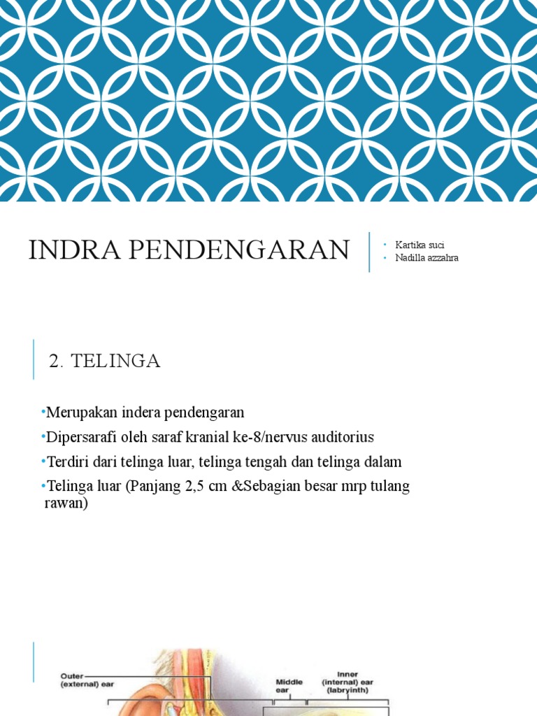 Indra Pendengaran | PDF | Kajian Bahasa Asing