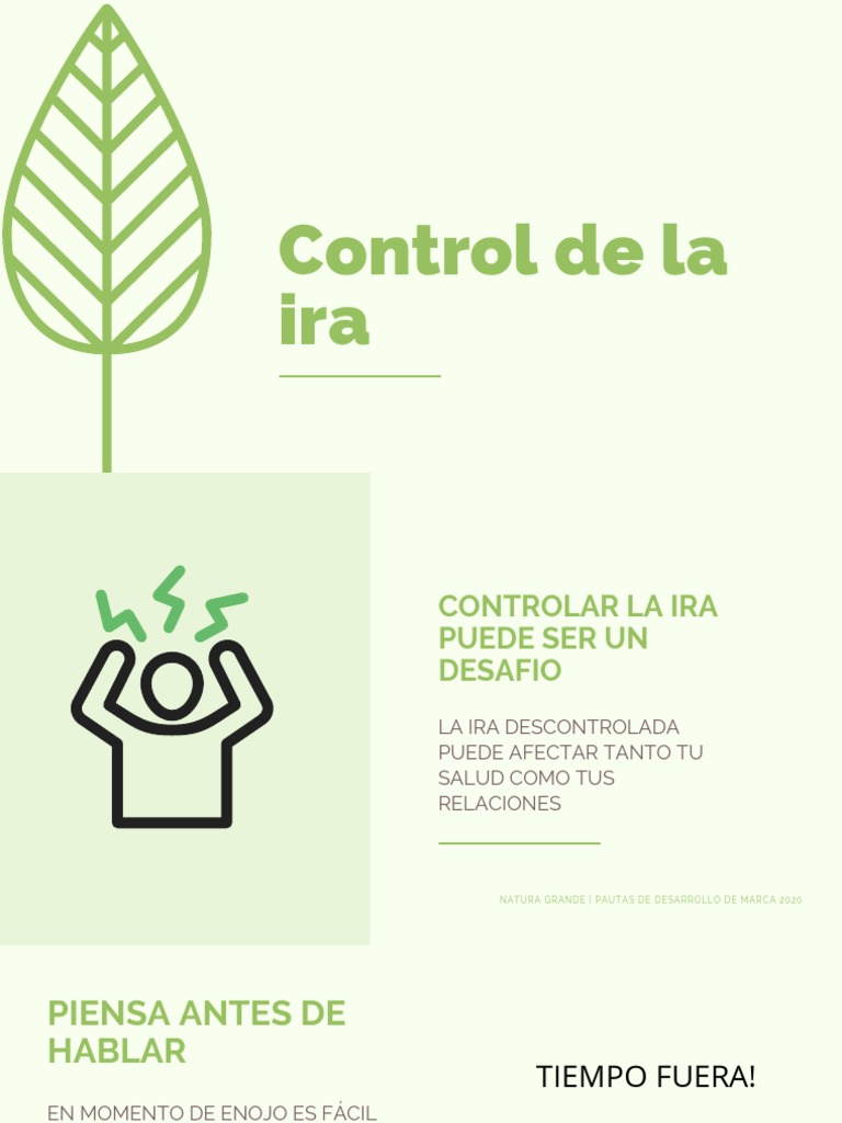 Control de La Ira | PDF | Ira | Sicología