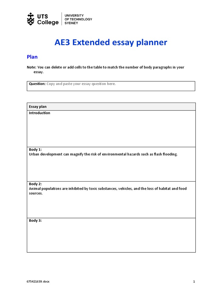 AE3 Extended Essay Planner | Download Free PDF | Essays | Word