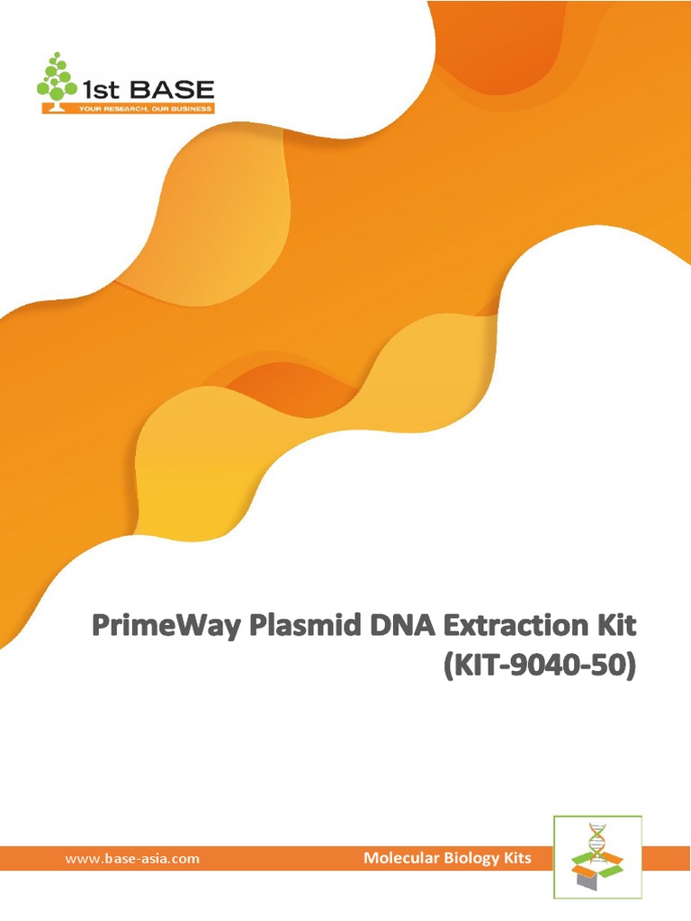 KIT 9040 50 PrimeWay Plasmid DNA Extraction Kit Manual | PDF ...