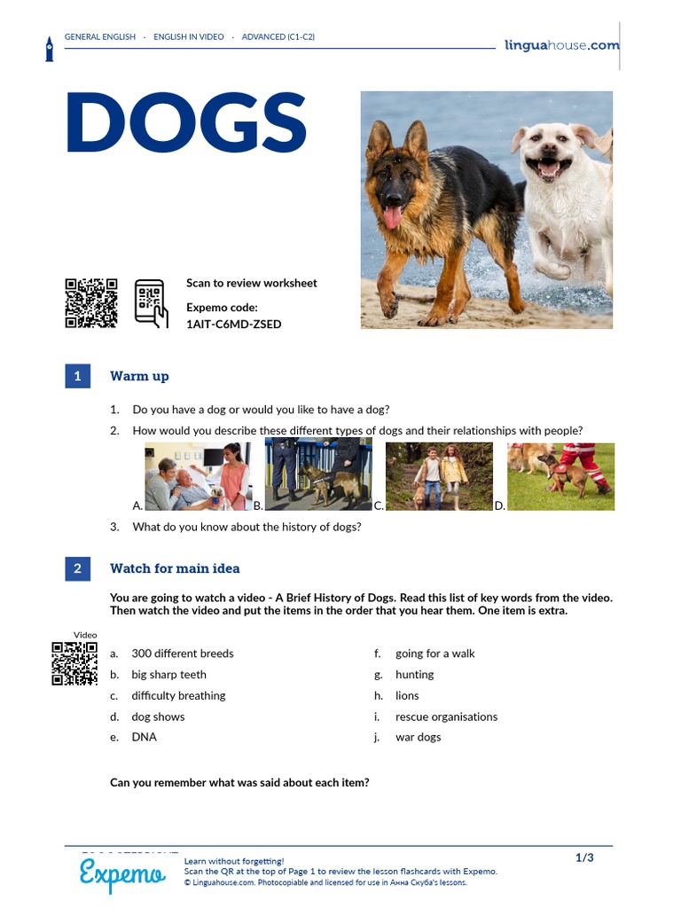 History and Care of Dogs | PDF | Dogs | Dog Breeds