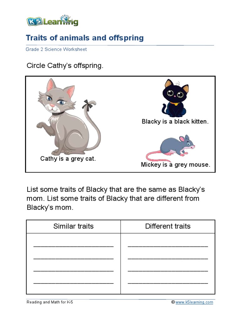 Animal Traits and Offspring Worksheet | PDF