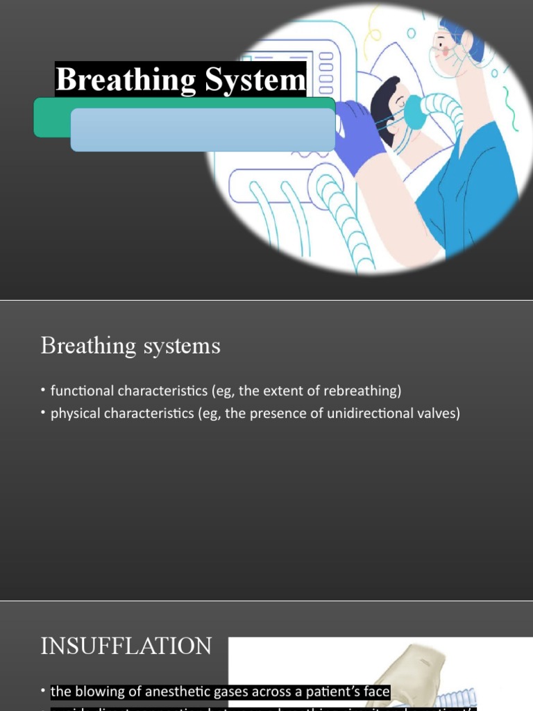 Breathing System | Download Free PDF | Breathing | Carbon Dioxide