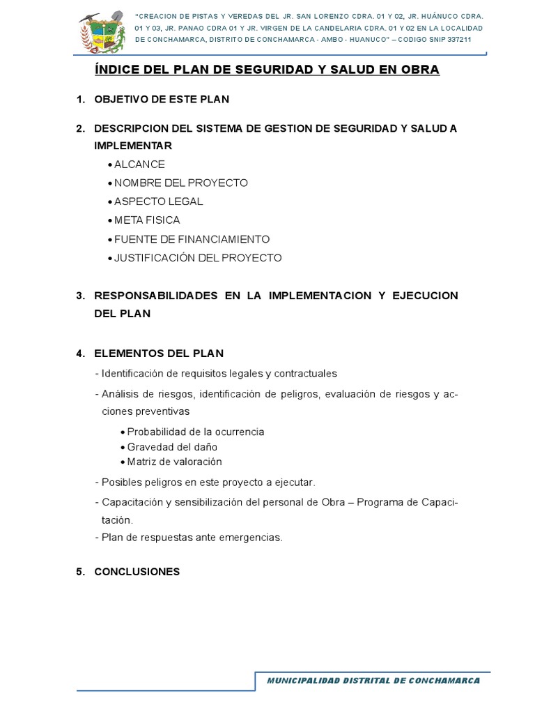 Seguridad y Salud en Obra | PDF | Riesgo | La seguridad
