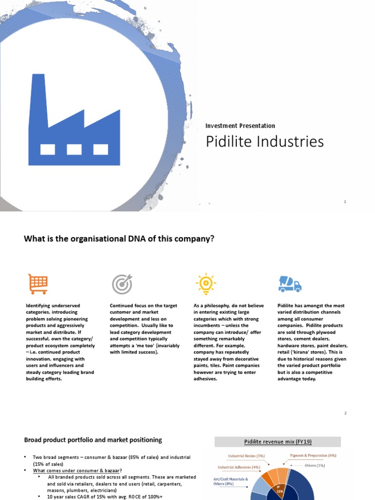 Pidilite Industries Investment Insights | PDF | Brand | Adhesive