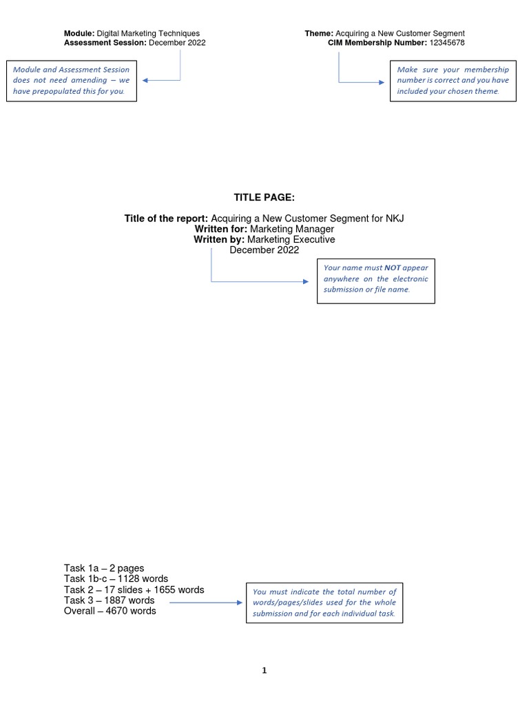 Example Assignment Template | PDF | Digital Marketing | Market Segmentation