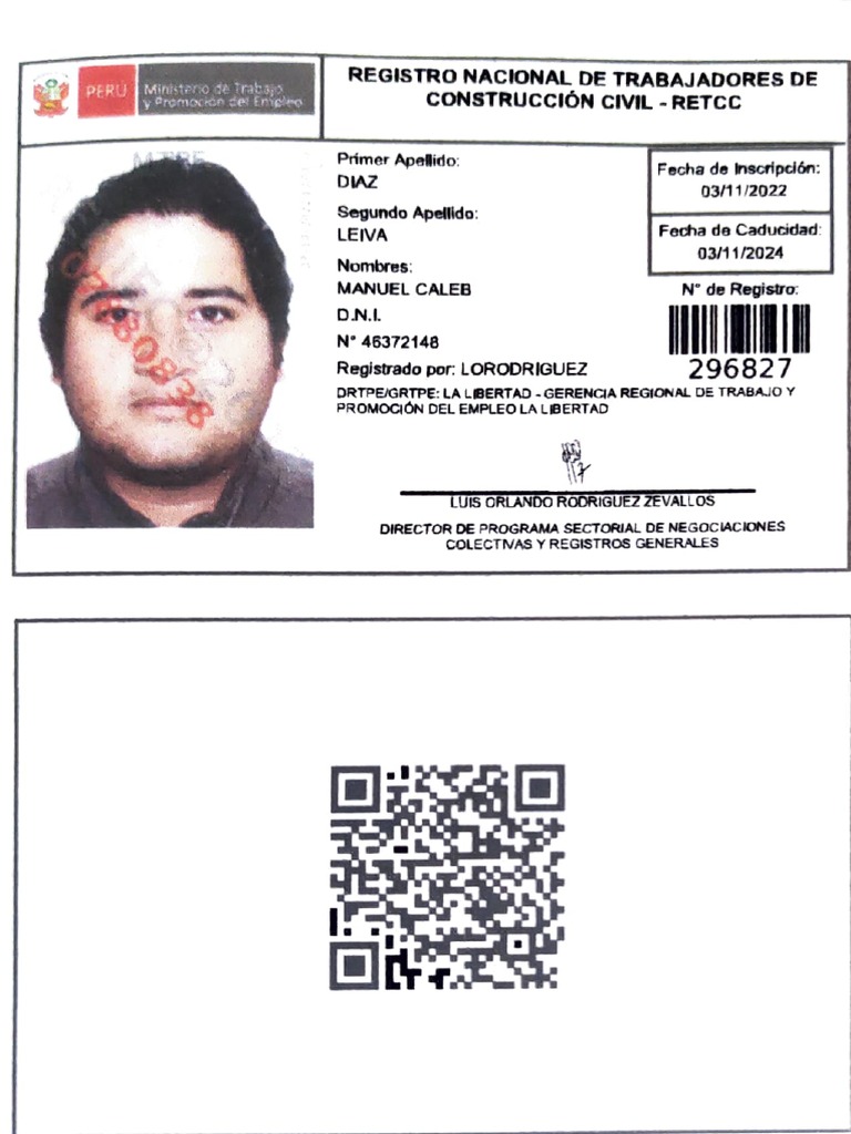 Carnet RETCC: Registro y Consulta | PDF