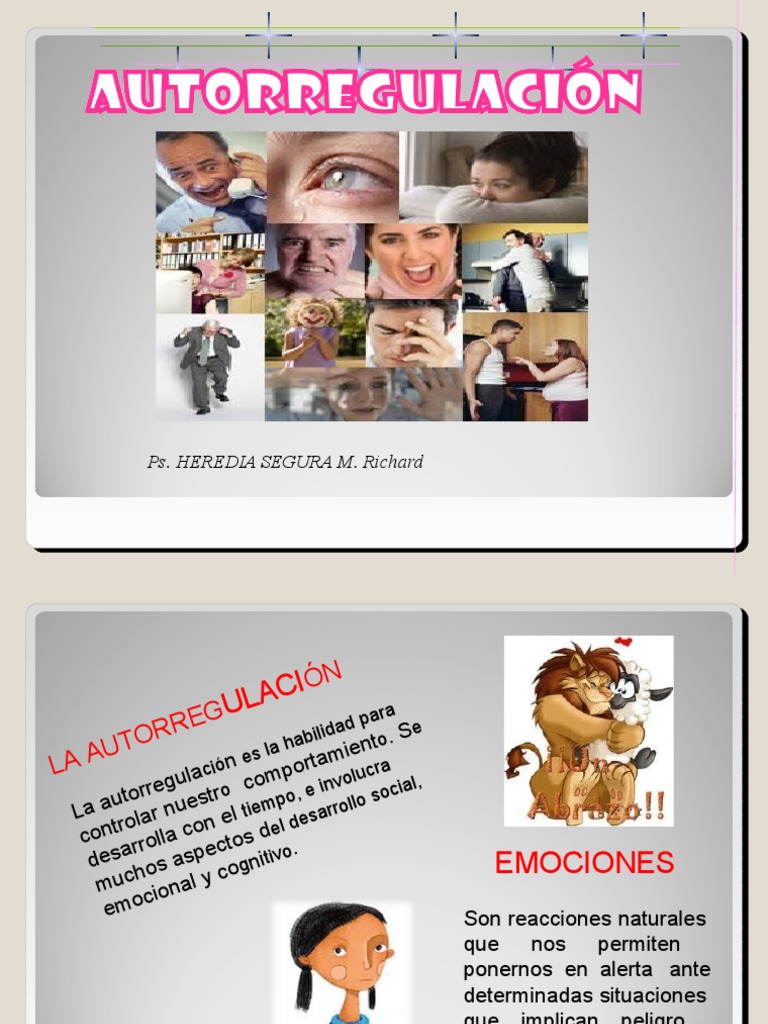 Autorregulacion De Las Emociones Pdf Las Emociones Experiencia