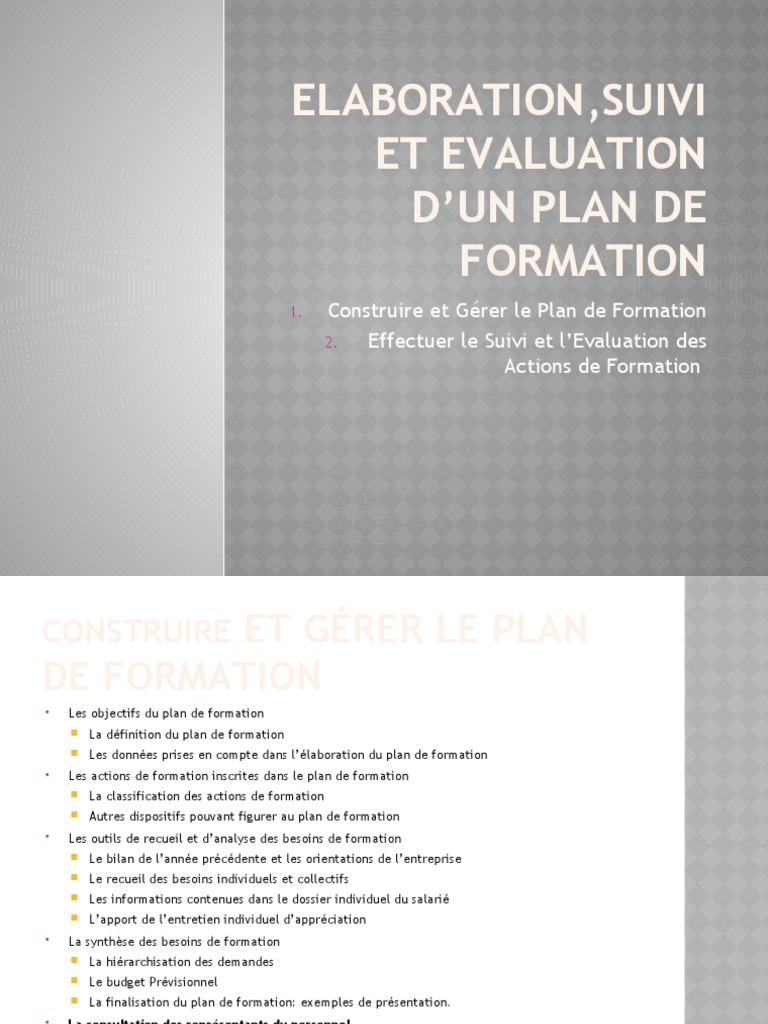 Elaborationsuivi Et Evaluation Dun Plan de Formation | PDF | Business ...