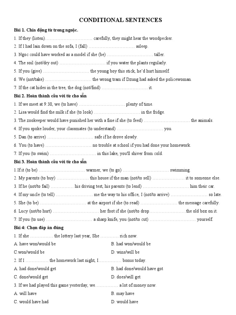 Conditional Sentences | PDF