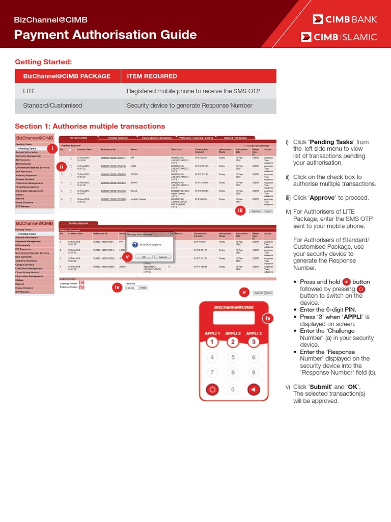 Payments Authorisation Guide | PDF | Computing | Software