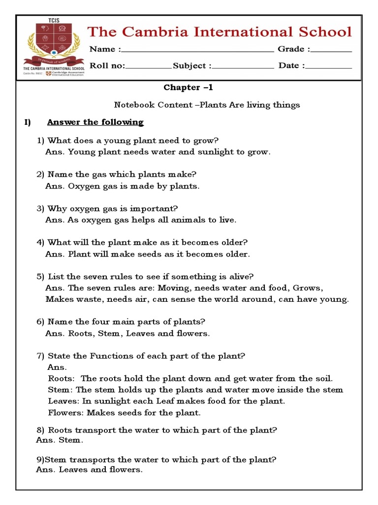 Chapter 1 Nb Grade 3 Pdf