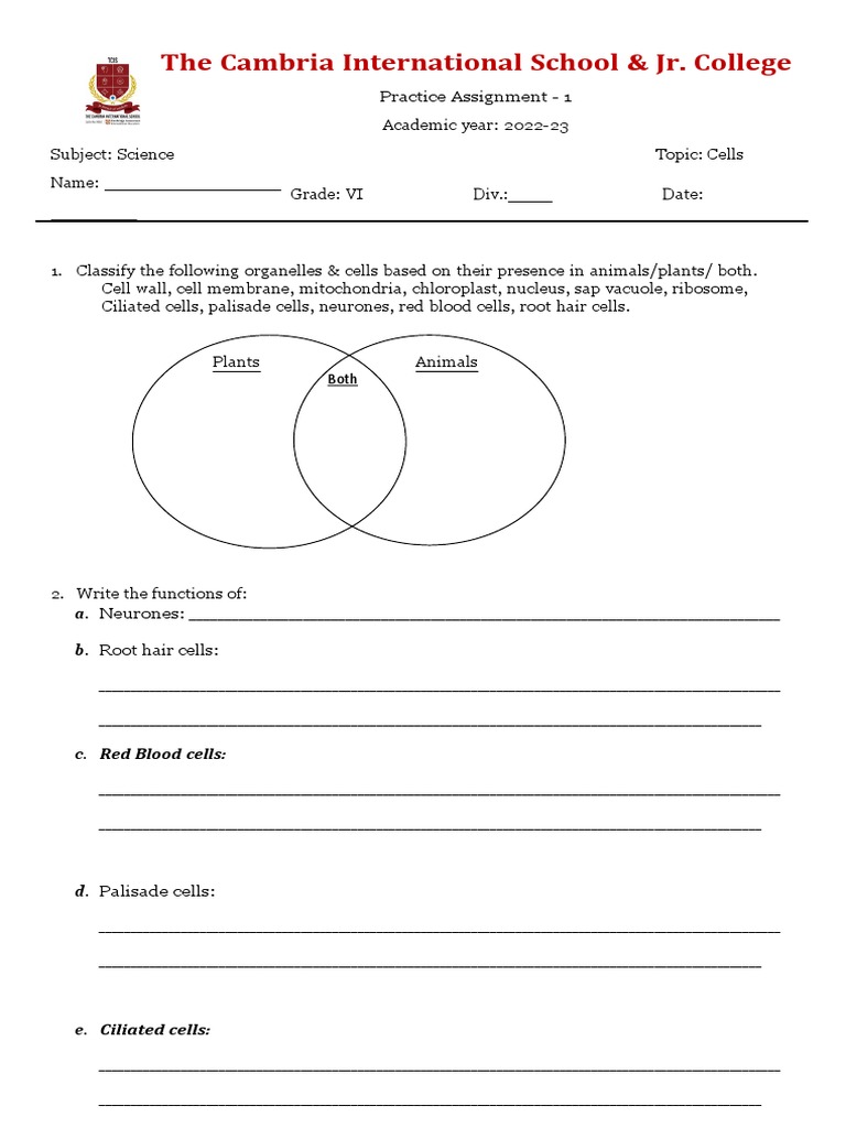 GR 6 - Cells Worksheet | PDF | Cell (Biology) | Chloroplast