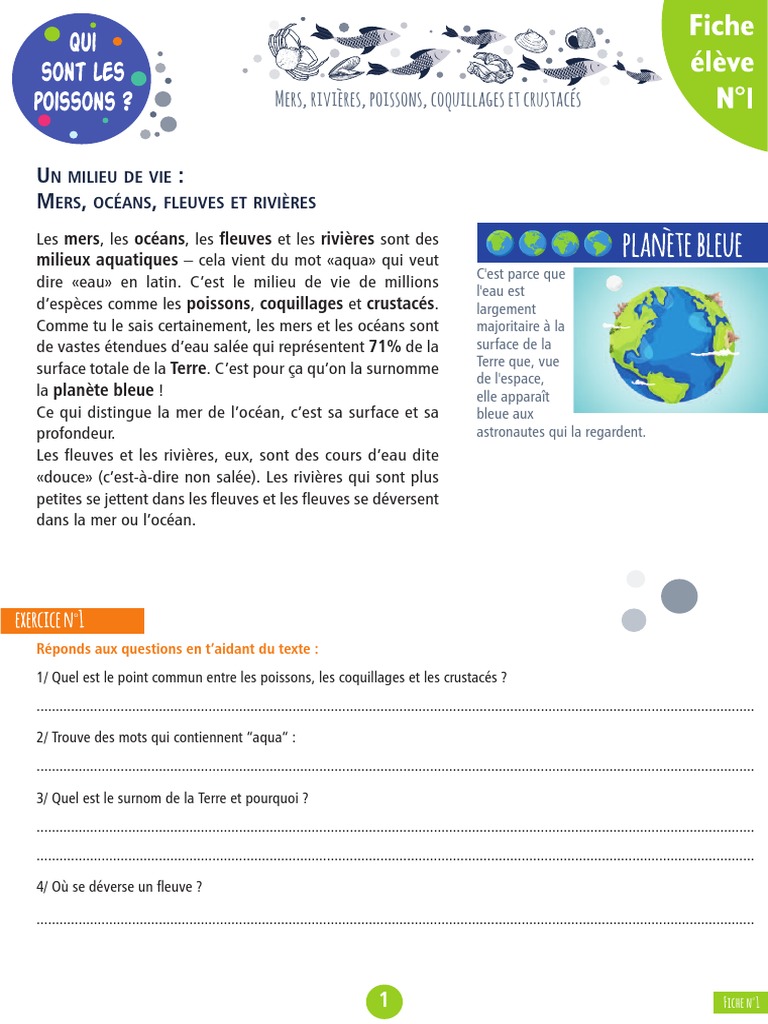 Fiche 1 Eleve | PDF | Branchie | Poisson