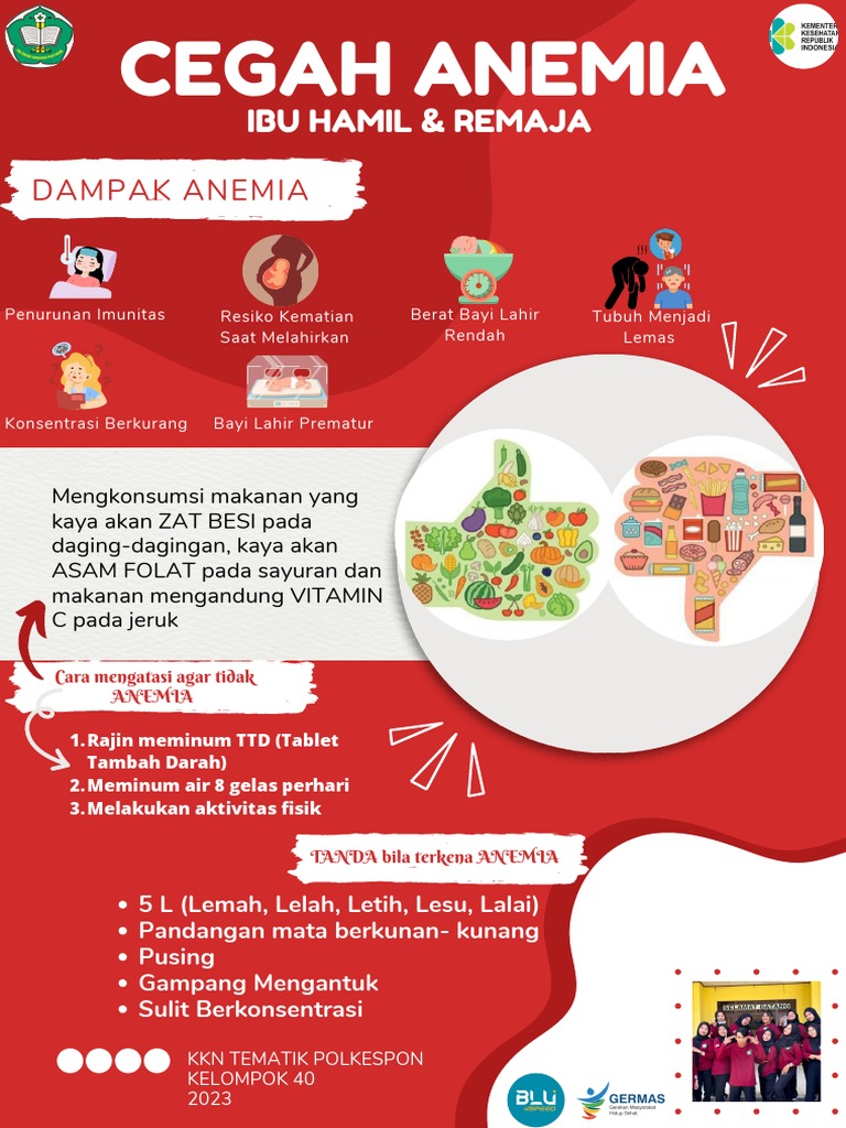 Poster Anemia | PDF