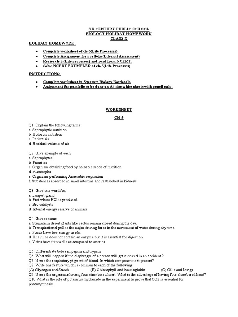 Biology Holiday Homework | PDF | Digestion | Kidney