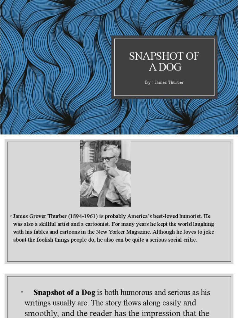 Snapshot of | PDF