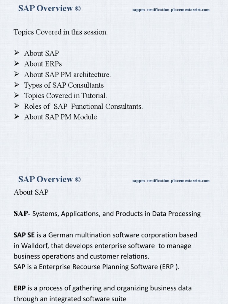 SAP Overview | PDF | Enterprise Resource Planning | Databases