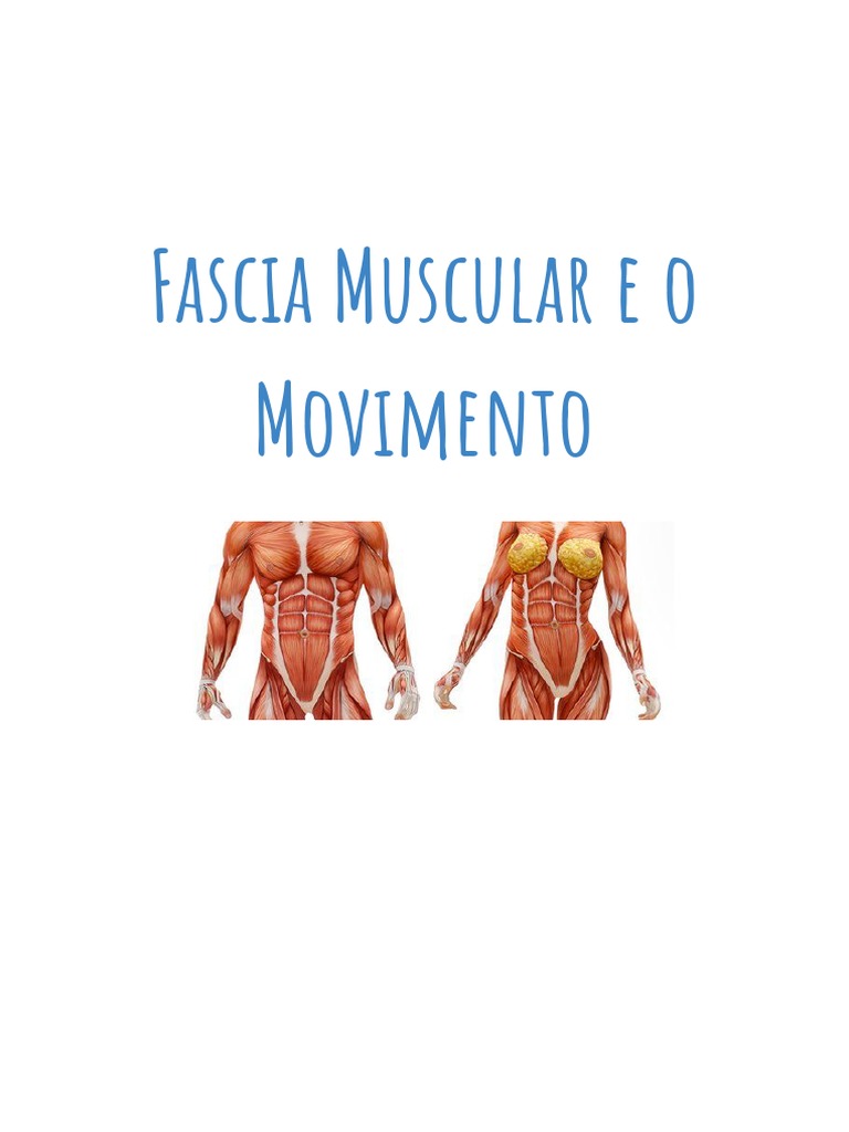 Anatomia e Função da Fáscia Muscular | PDF | Músculo esquelético | Colágeno
