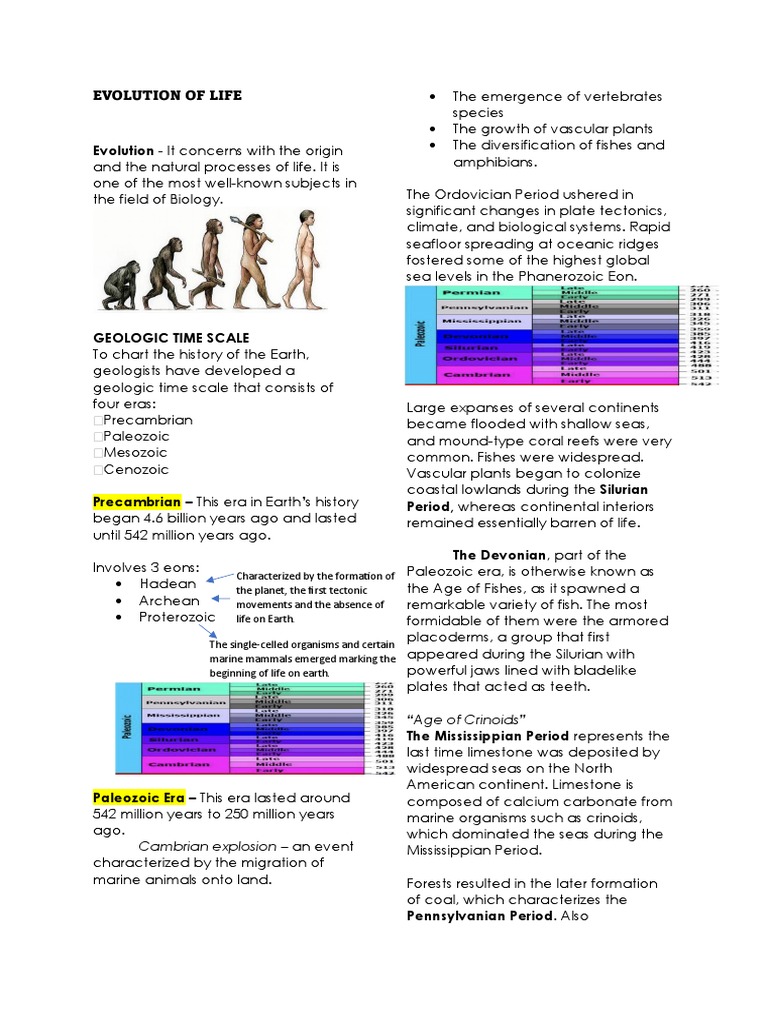 Evolution of Life | PDF | Abiogenesis | Evolution