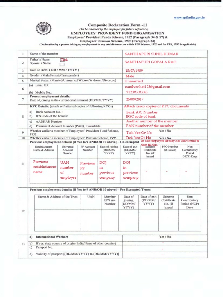 Sample Filled EPF Composite Declaration Form 11 | PDF | Access Control ...