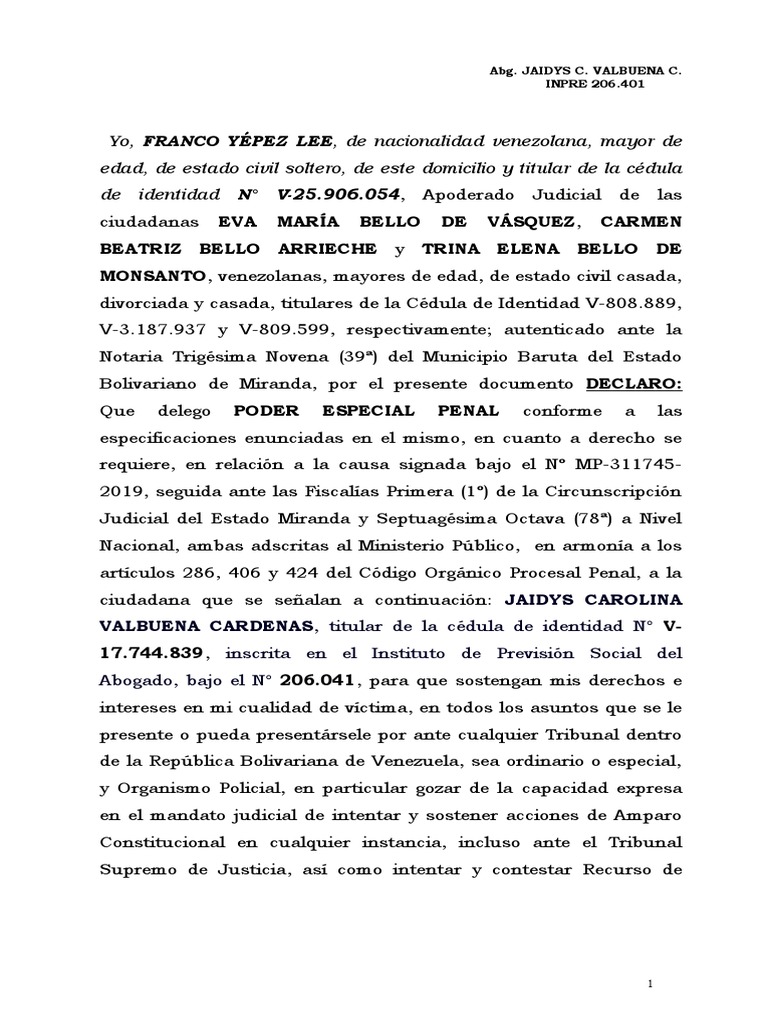 Modelo de Poder Especial en Materia Penal | PDF | Fiscal | Ley común