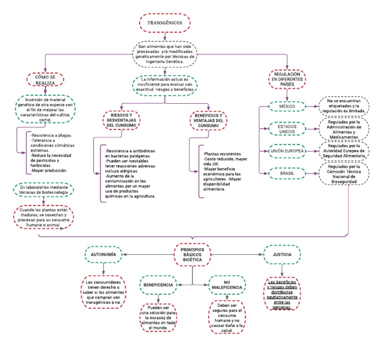 Mapa Conceptual Transgénicos Mariana | PDF | Organismo genéticamente modificado | Alimentos
