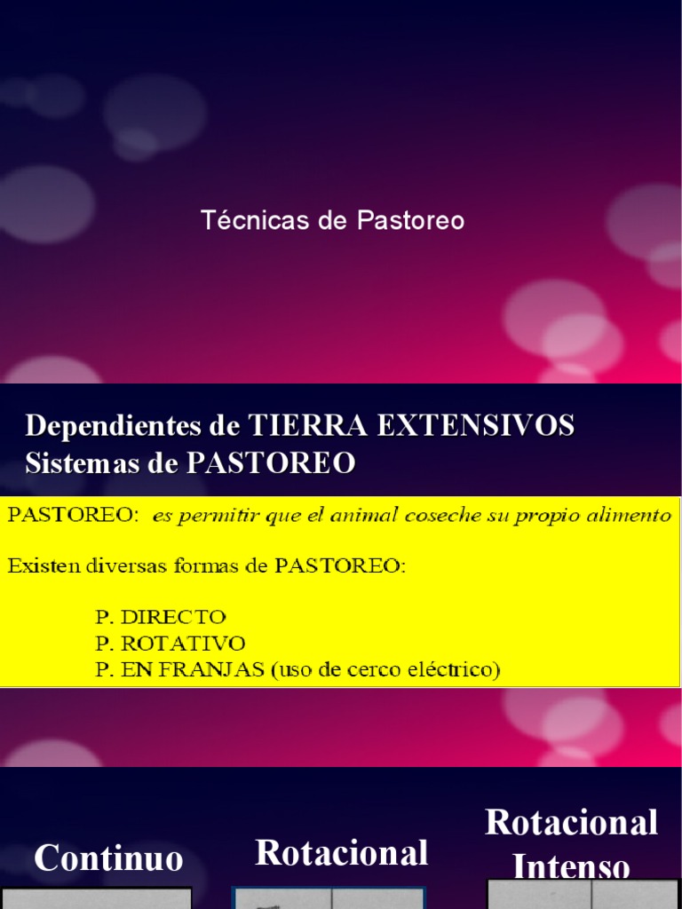 Pastoreo | PDF | Pasto | Carne