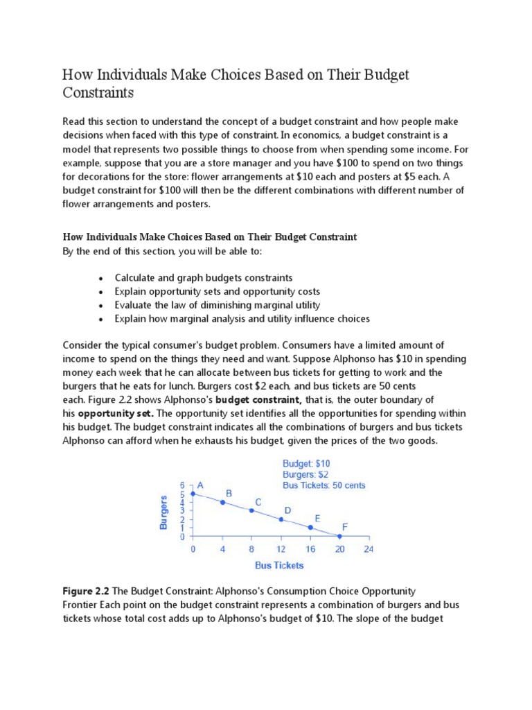Budget Choices & Opportunity Cost | PDF | Utility | Consumption (Economics)