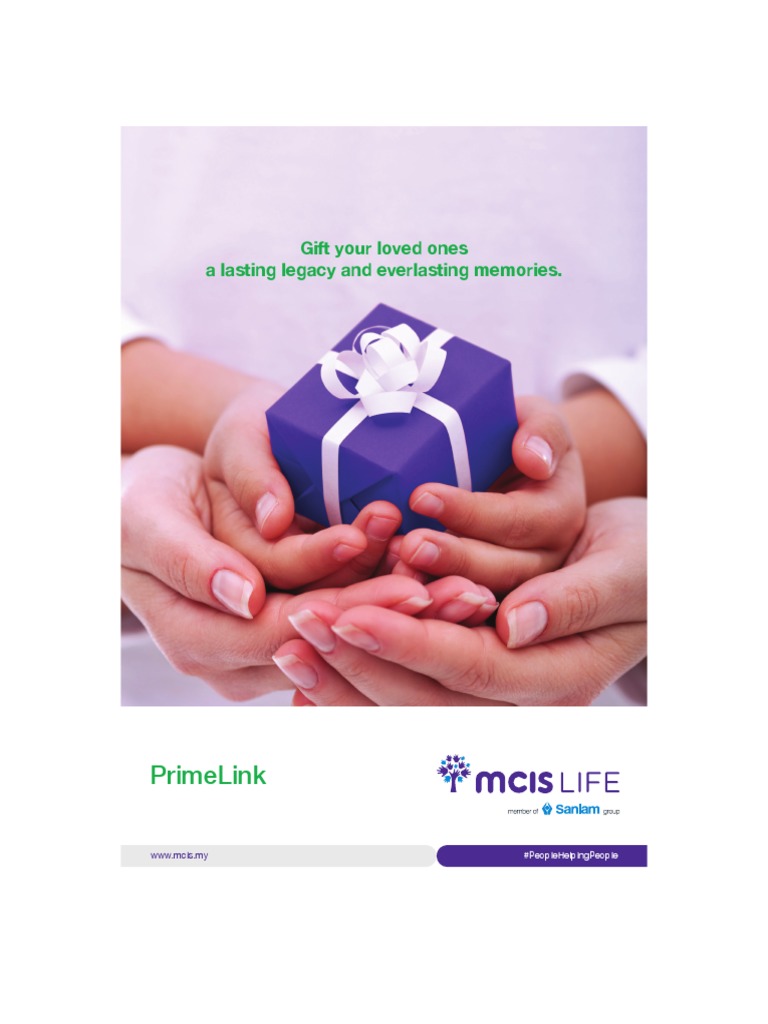 Prime Link | PDF | Investing | Stocks