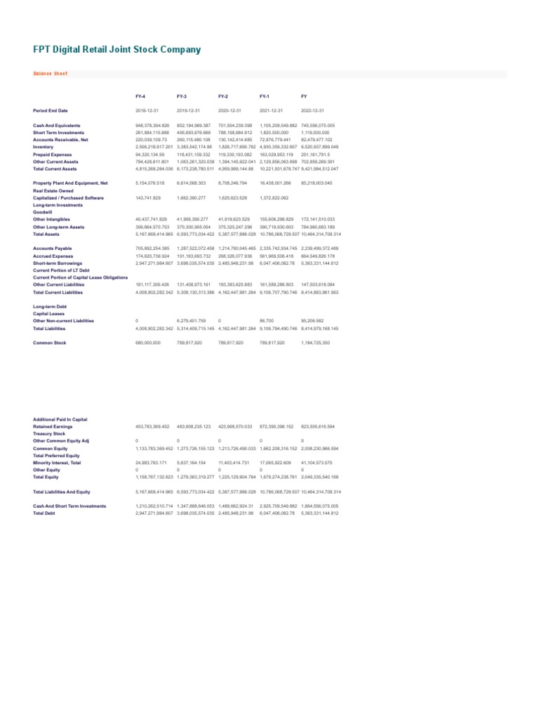 BCTC - FPT Balance Sheet | PDF | Equity (Finance) | Balance Sheet